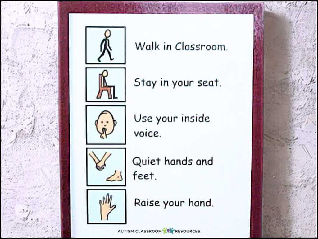 Visual Rules And Expectations FREEBIE Autism Classroom Resources