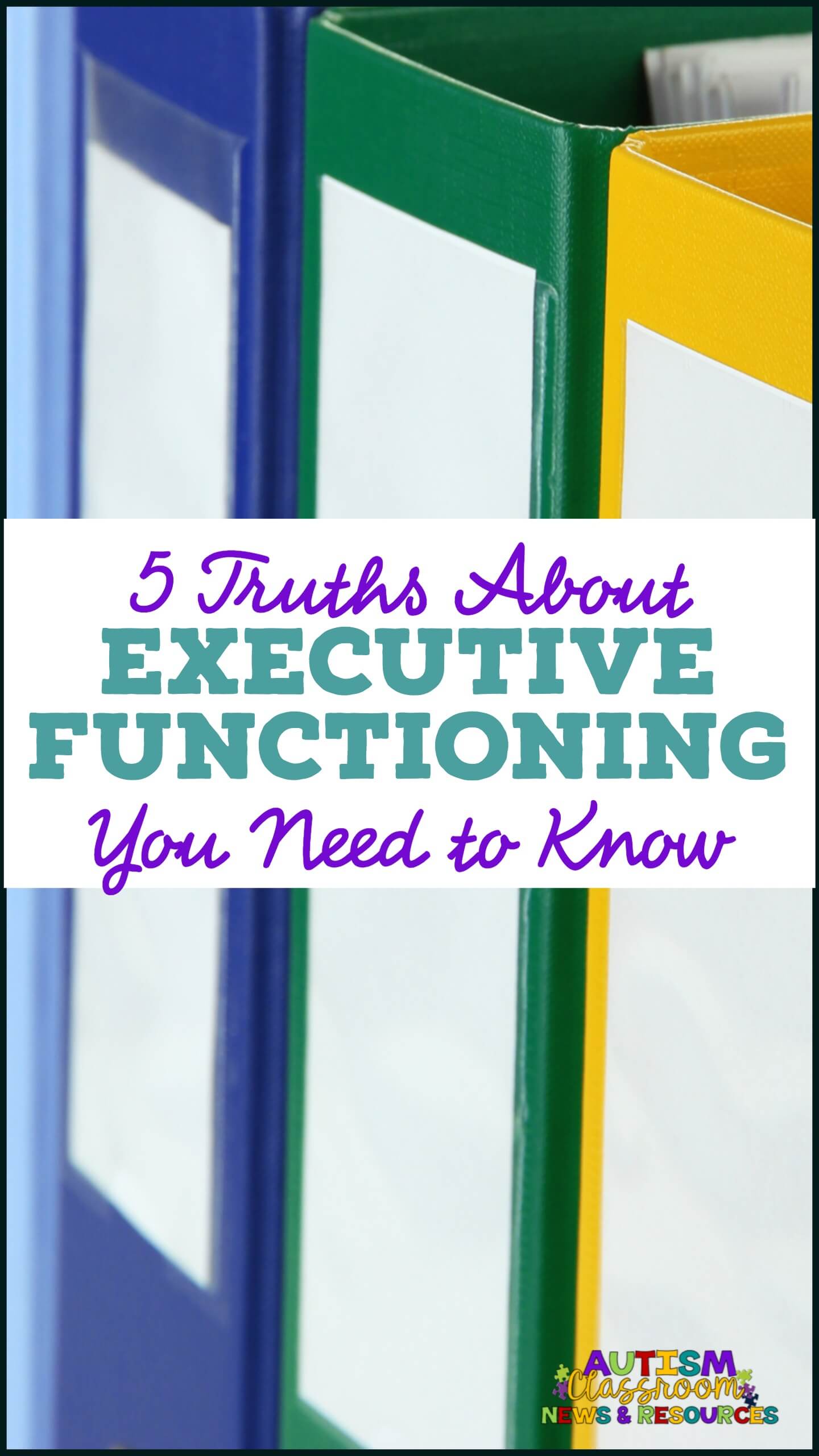 5 Truths About Executive Functioning Skills You Need to Know - Autism ...