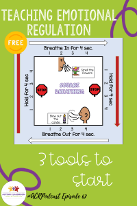 3 Tools to Help You Teach Emotional Regulation (ep. 67) - Autism ...