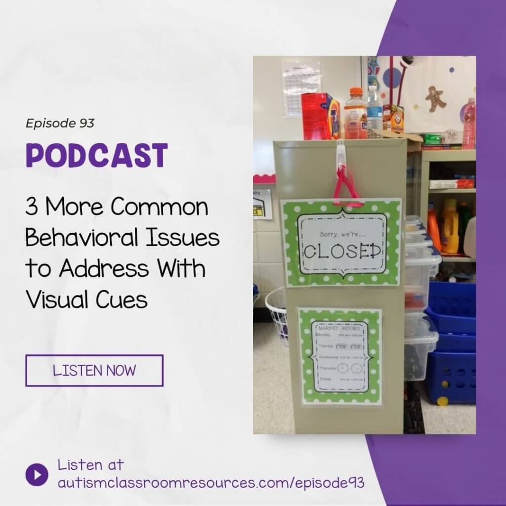 3 More Common Behavioral Issues to Address With Visual Cues