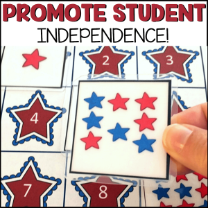 Independent Work Stations Task Box Starter w File Folder Activities ...