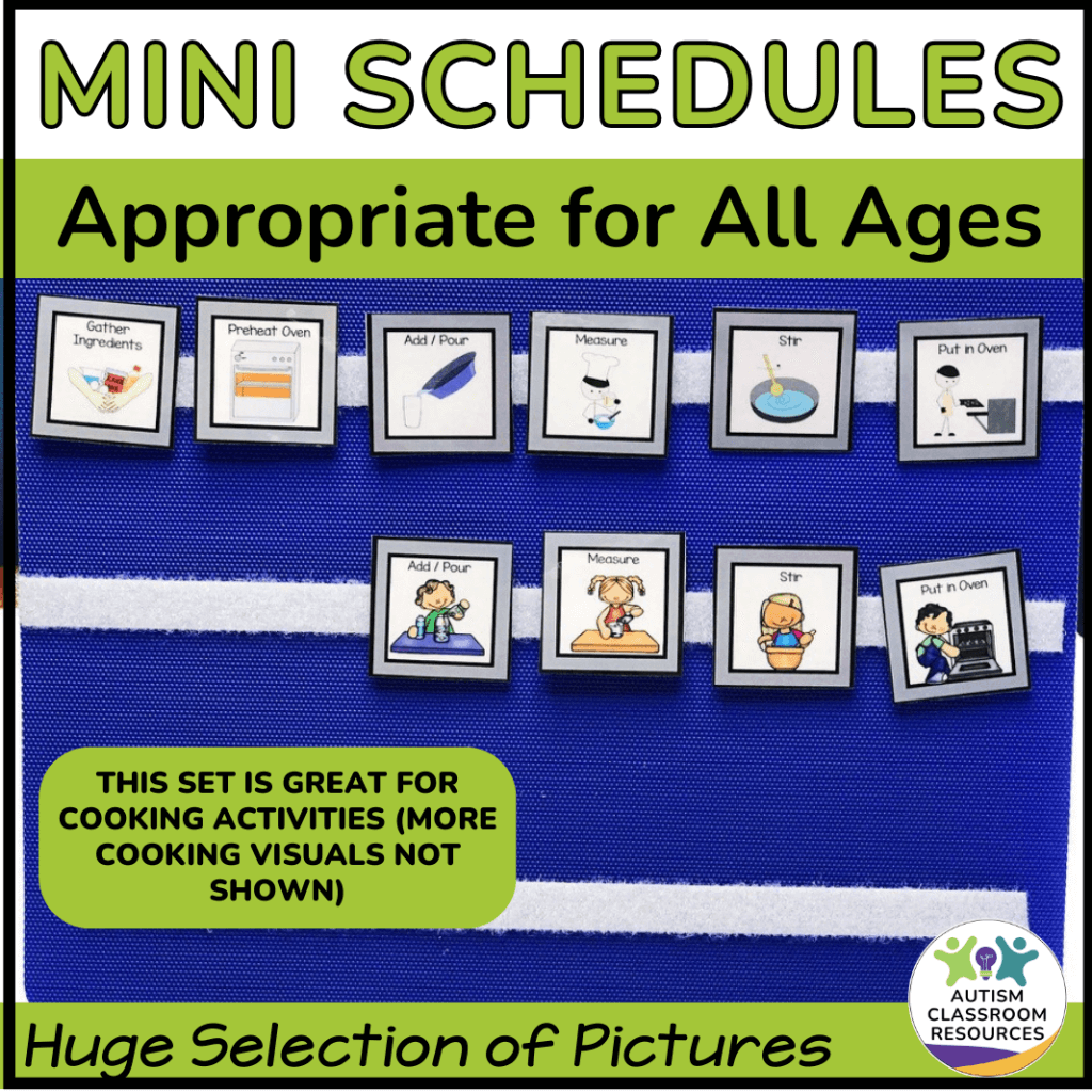 Autism Classroom Life Skills Mini Activity Schedules for Special ...