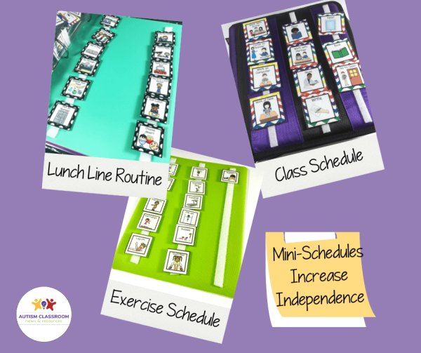 3 Ways Mini Visual Schedules Can Enhance Your Teaching - Autism ...