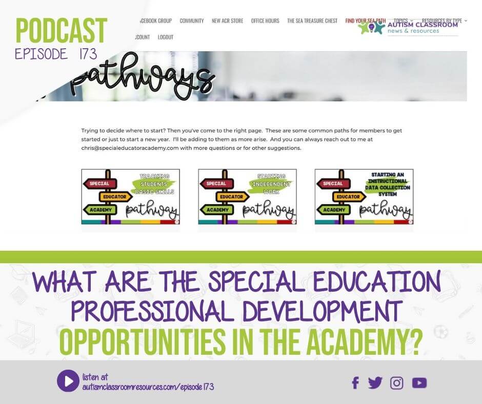 Special Education Professional Development in the Academy