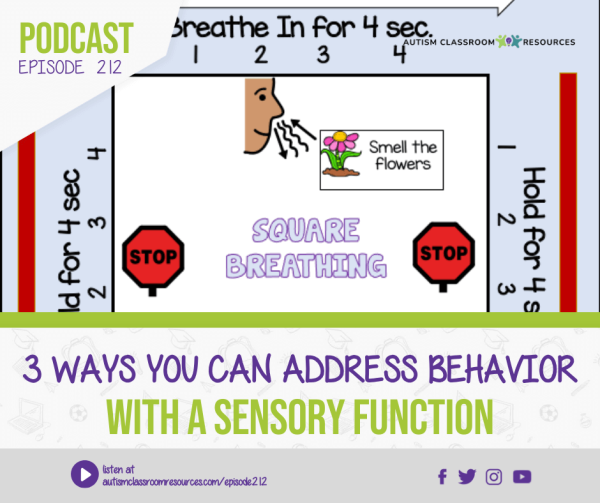 3 Ways You Can Address Behavior With a Sensory Function